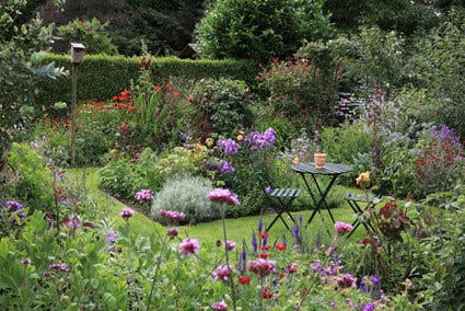 Engelse tuin | Directplant