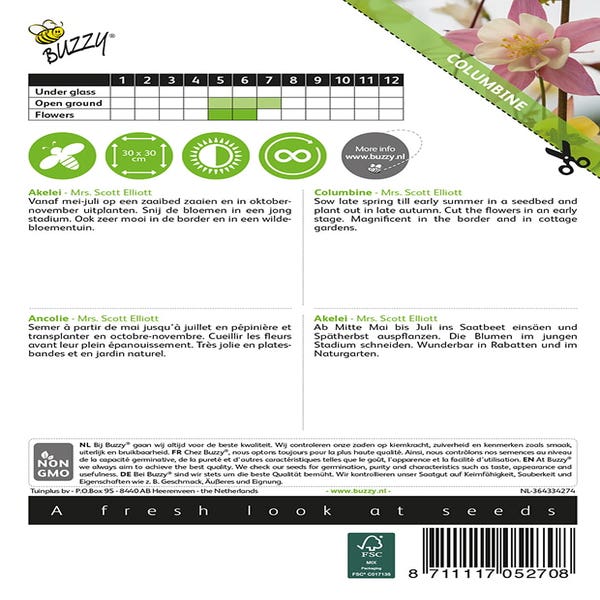 Aquilegia, Akelei Mrs. Scott Elliott