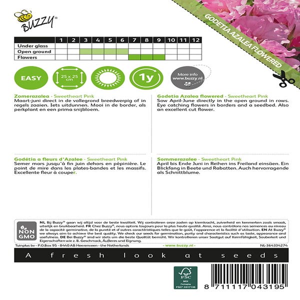 Godetia, Zomer Azalea Sweetheart Pink