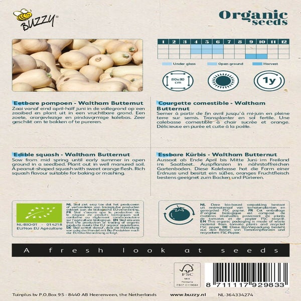 Eetbare Pompoen Waltham Butternut (BIO)