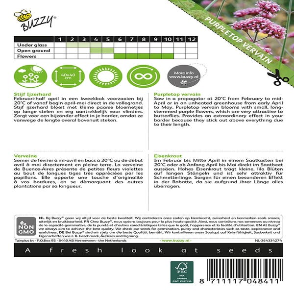 Verbena, Stijf Ijzerhard