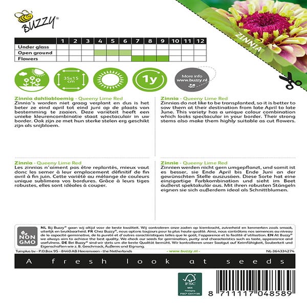 Zinnia Queeny Red Lime