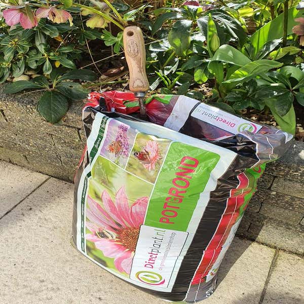 Voordelige Potgrond kopen? Goede grond voor planten in pot en borders